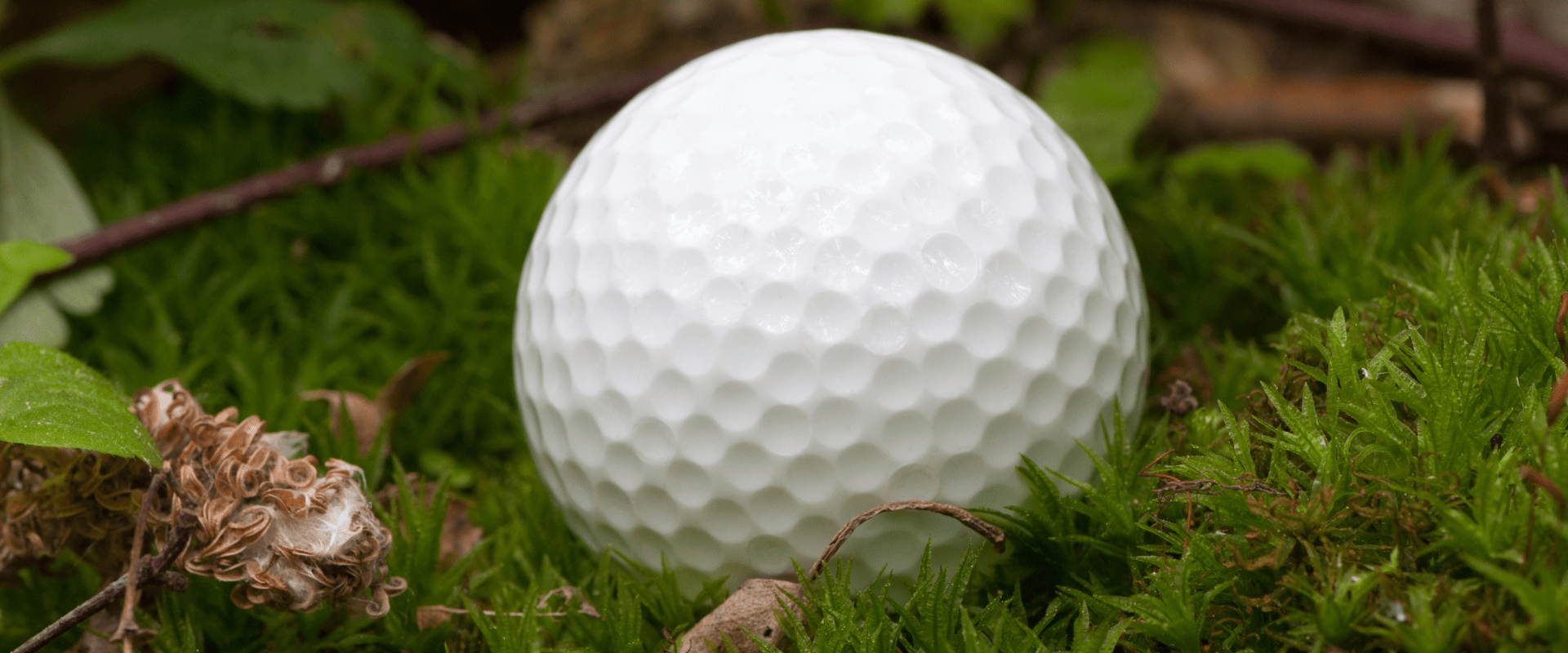 An In-Depth Review of Golf's “Stroke and Distance” Rule – Stroke & Distance